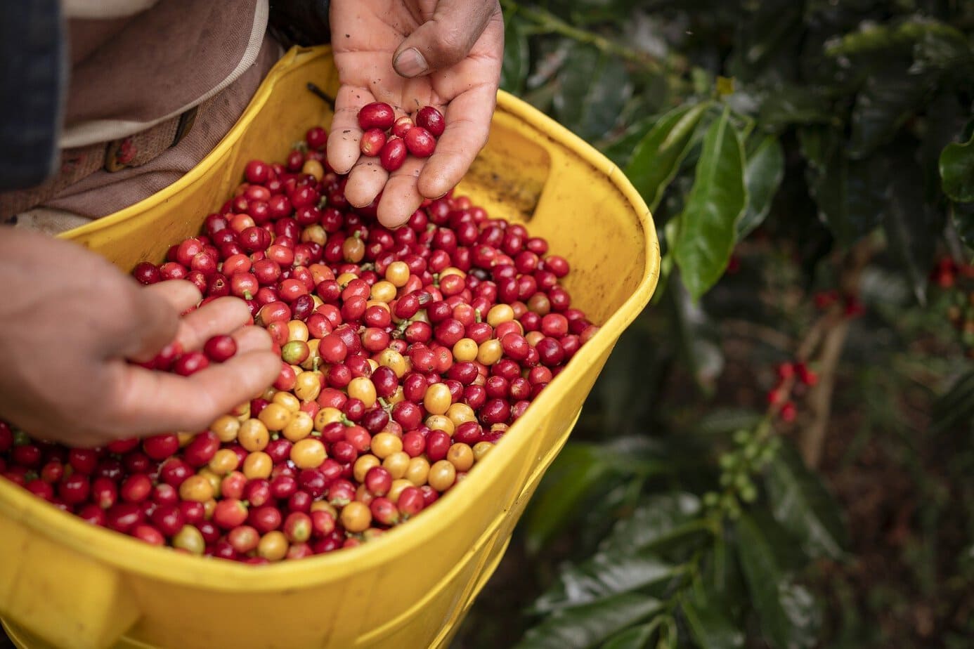 17 Things to Know About Colombian Culture